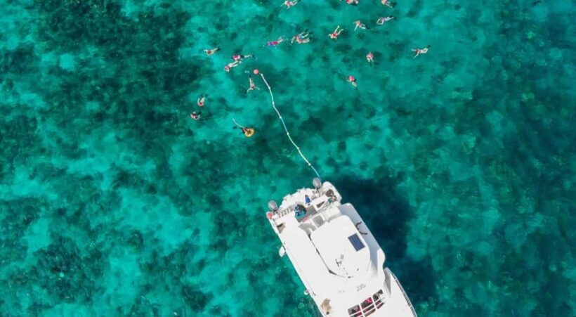Punta Cana: Full-Day Snorkeling Tour to Catalina Island - How This Tour Stacks Up for Different Travelers