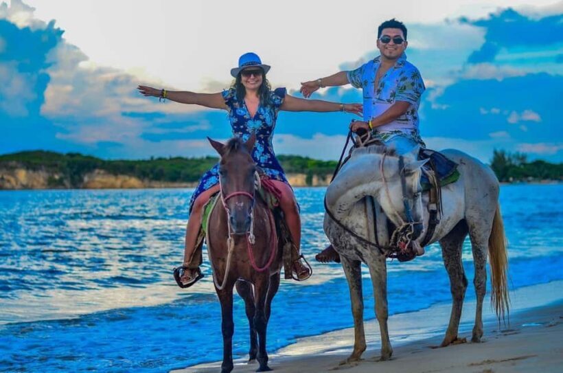 Punta Cana: Guided Horseback Tour of Beaches and Fields - Key Points