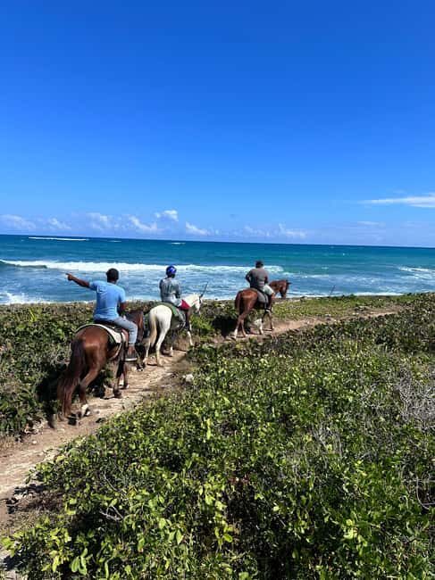Punta Cana: Guided Horseback Tour of Beaches and Fields - An Authentic Ride Through Punta Cana’s Natural Charm
