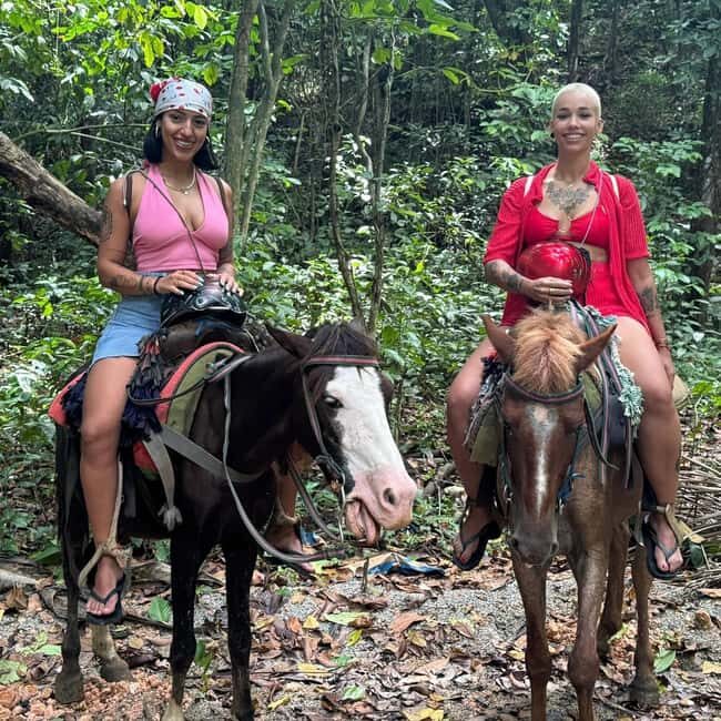 Punta Cana: Guided Horseback Tour of Beaches and Fields - What You Can Expect During the Tour