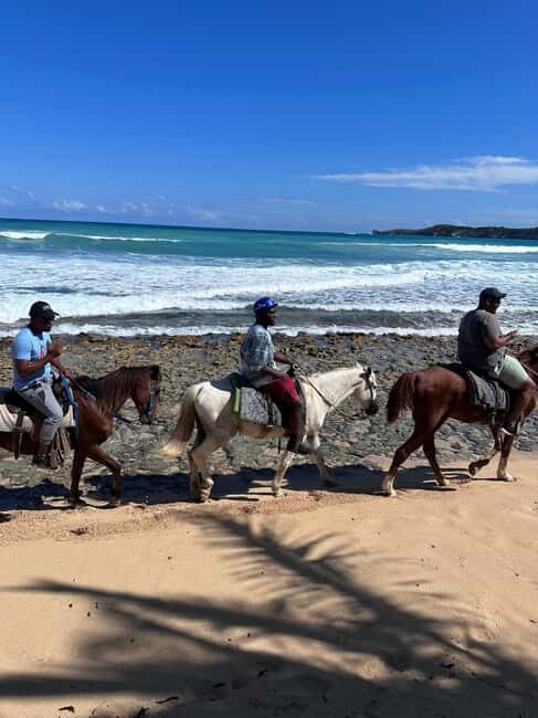 Punta Cana: Guided Horseback Tour of Beaches and Fields - Summing Up: Who Should Consider This Tour?