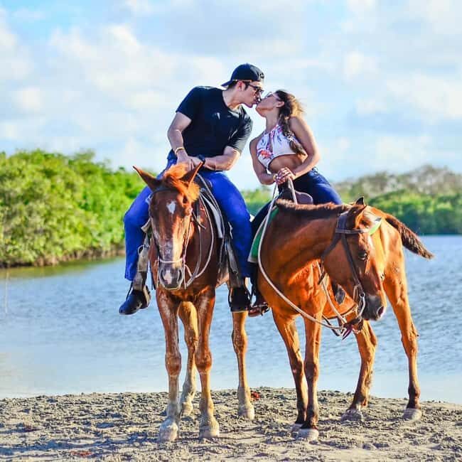 Punta Cana: Guided Horseback Tour of Beaches and Fields - The Sum Up