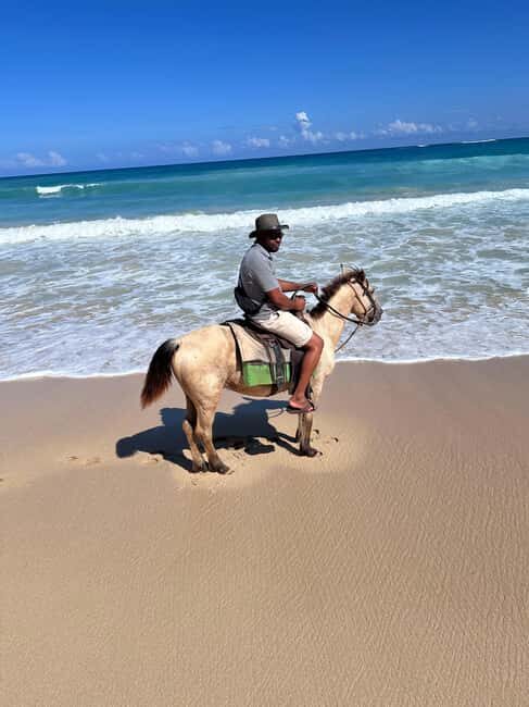 Punta Cana: Guided Horseback Tour of Beaches and Fields - FAQs