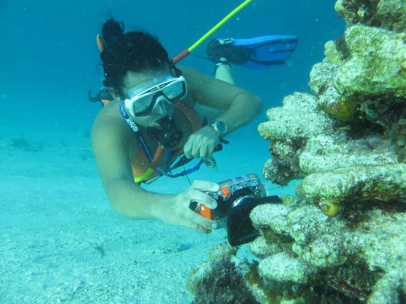 Punta Cana: Guided Power Dive Adventure - Key Points