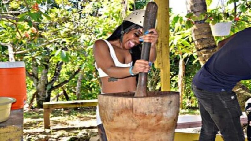 Punta Cana: Hacienda Tuko Buggy, Zipline, & Horseback Tour - Authentic Experiences in the Dominican Outdoors