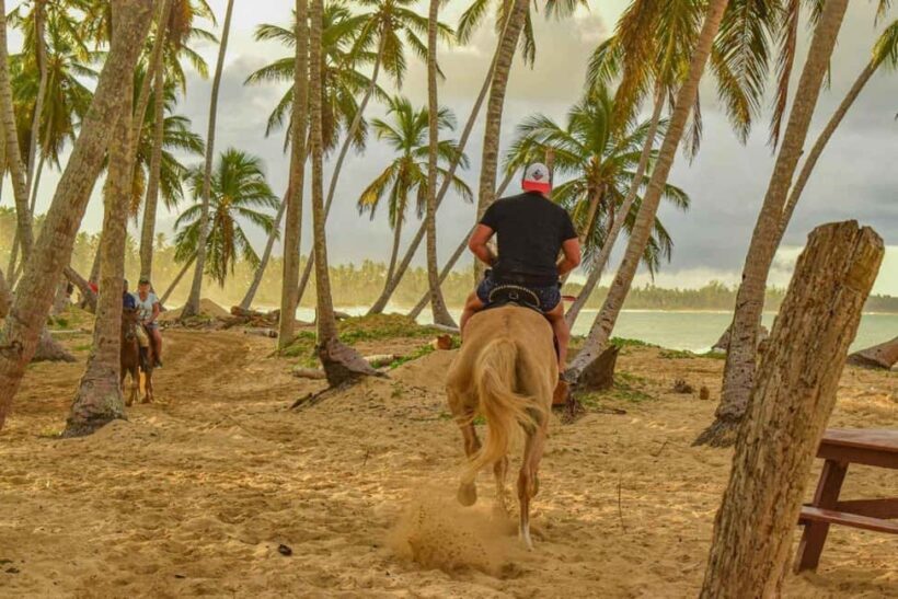 Punta Cana: Haitises, Montaña R. & Horse Ride Limón Beach - A Full Look at the Tour Experience