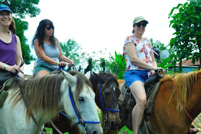 Punta Cana Half-Day Cultural Safari with Lunch and Drinks - Who Should Consider This Tour?