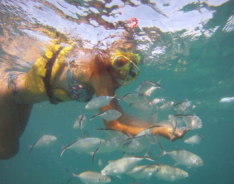 Punta Cana Happy Hour Sailing Cruise - Practical Details & Tips