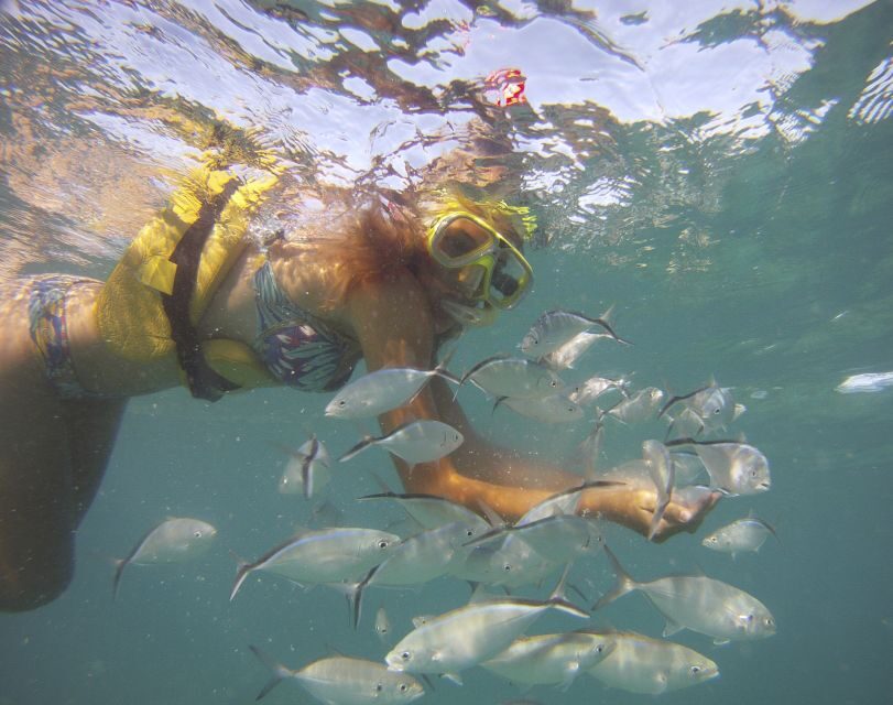 Punta Cana Happy Hour Sailing Cruise - Final Thoughts