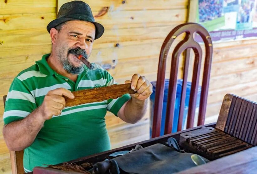 Punta Cana: Higüey Safari Tour with Lunch and Beach Stop - A Full Breakdown of the Higüey Safari Tour