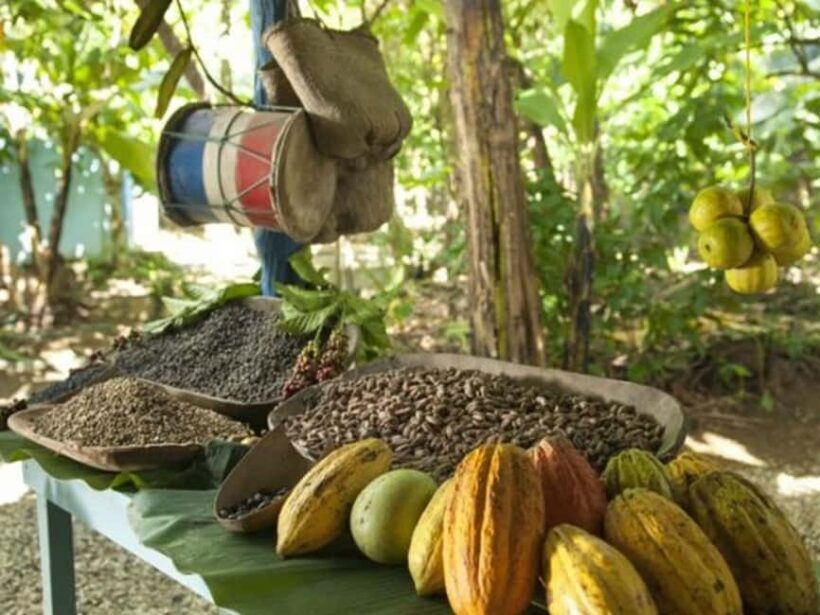 Punta Cana: Higuey Tour Excursion Cultural - Key Points