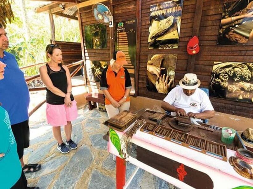 Punta Cana: Higuey Tour Excursion Cultural - Exploring the Local Market