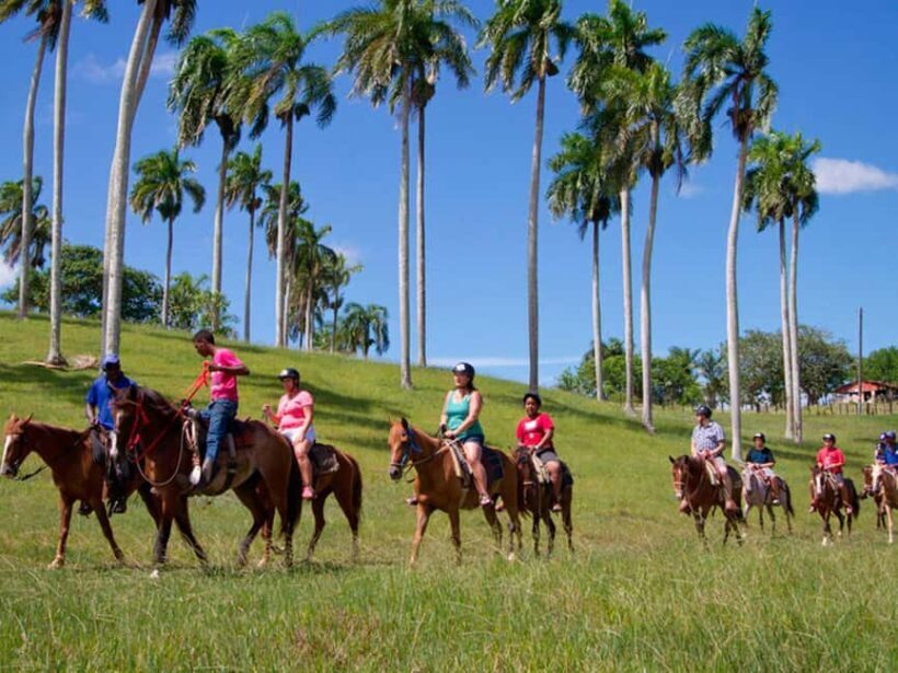 Punta Cana: Higuey Tour Excursion Cultural - The School Visit: Education in Rural Higuey