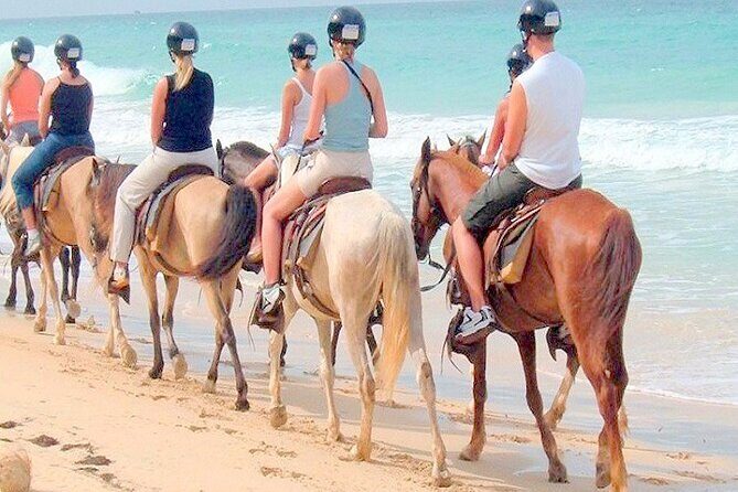 Punta Cana Horse Riding for Beaches in Field - The Experience in Detail