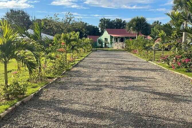 Punta Cana Horse Riding for Beaches in Field - FAQ