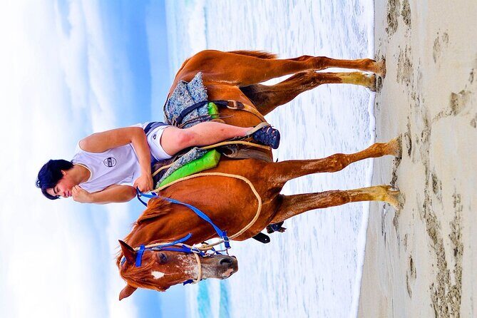 Punta Cana Horseback Ride and Beach Tour - Who Should Consider This Tour?
