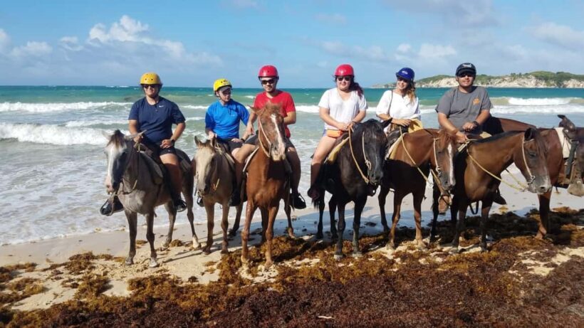 Punta Cana: Horseback Ride to Macao Beach - Authentic Experiences & Traveler Feedback