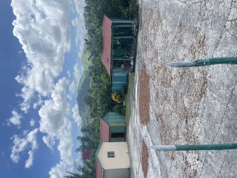 Punta Cana: Horseback Riding Adventure with Transfers - The Value Proposition