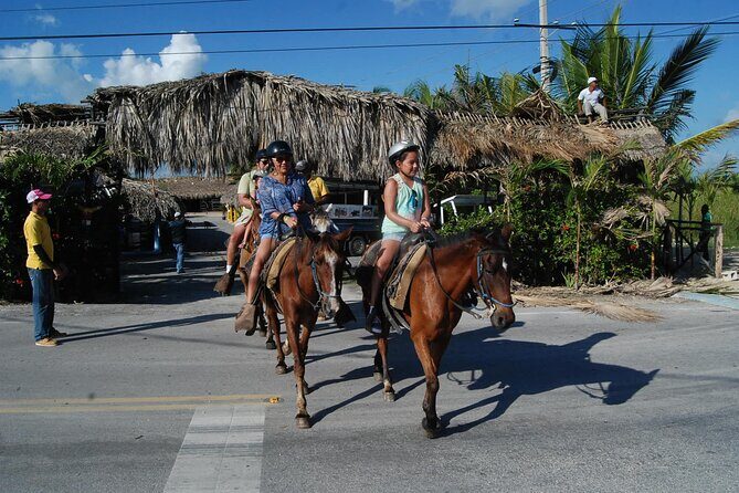 Punta Cana Horseback Riding on the Beach - An In-Depth Look at Punta Cana Horseback Riding on the Beach