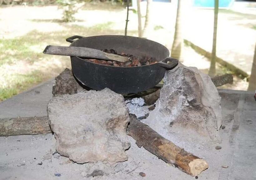 Punta Cana: Horseback riding on the beach with pickup - FAQ