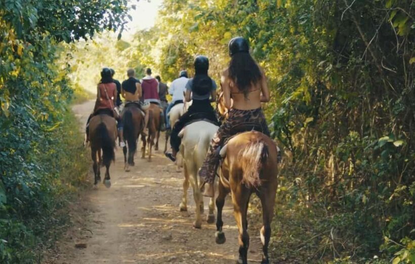 Punta Cana Horseback riding & Sunset + beach + free pick-up - Exploring the Punta Cana Horseback Riding & Sunset Tour