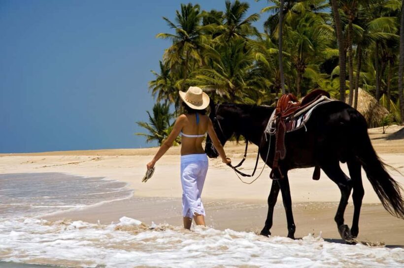 Punta Cana: Horseback Riding through Stunning Beaches - What the Reviews Reveal