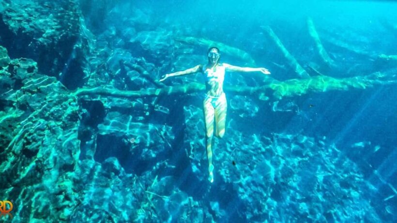 Punta Cana: Hoyo Claro Cenote and Juanillo Beach Tour - An In-Depth Look at the Tour Experience