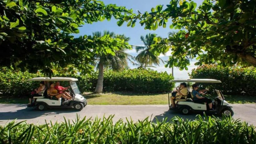 Punta Cana: Iguana Sanctuary, Sailing & BBQ Tour - Key Points