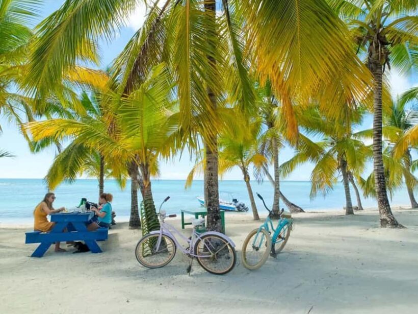 Punta Cana: Isla Saona Day Trip with Catamaran Cruise - Introduction