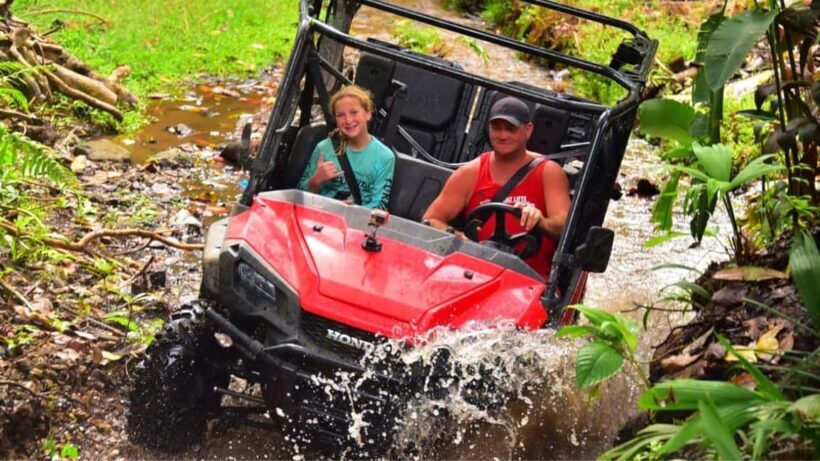 Punta Cana: Jungle Buggy Tour with Monkeyland Visit - Key Points