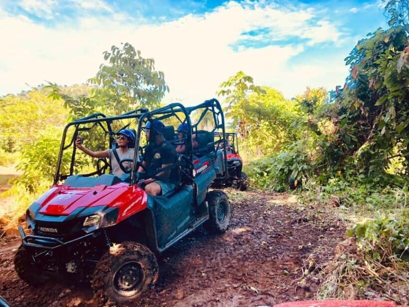 Punta Cana: Jungle Buggy Tour with Monkeyland Visit - Final Thoughts: Is This Tour for You?