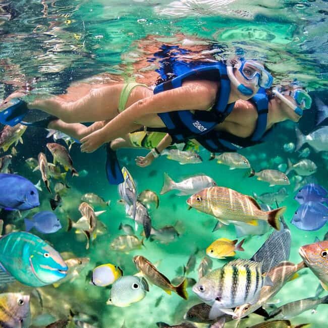 Punta Cana: Live the Fun on Board the Party Boat - The Practical Side: Logistics and Value