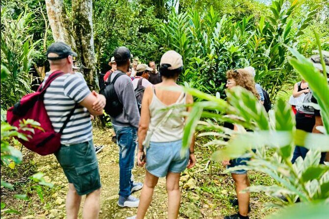 Punta Cana: Los Haitises Hike & Kayaking Mangroves - FAQ