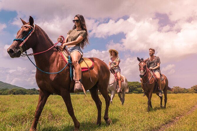 Punta Cana: Los Haitises Horses riding + Montana redonda - What Travelers Are Saying