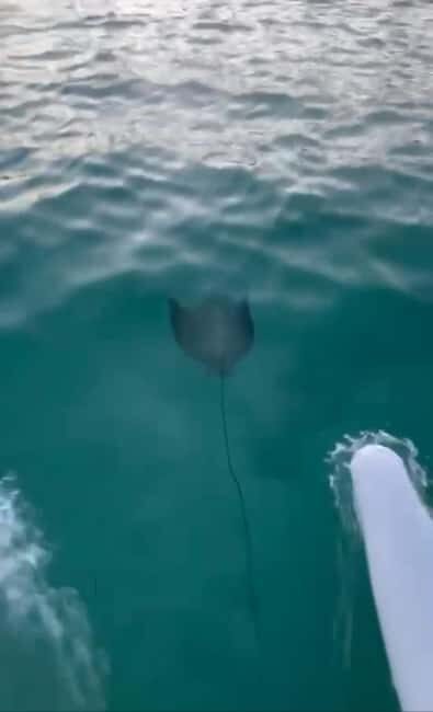 Punta Cana Luxury Snorkel & Beach Club Day at Playa Blanca - A Complete Breakdown of the Tour