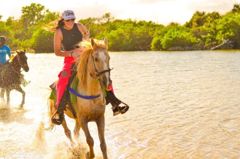 Punta Cana: Macao Beach & Forest Horseback Riding Tour - The Return Journey: Comfort and Ease