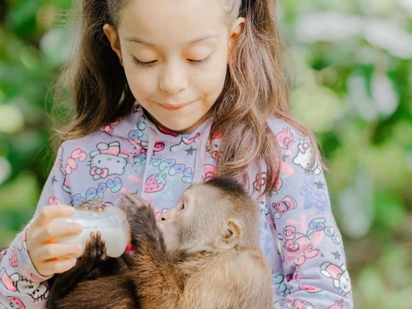 Punta Cana: Monkey Houses Private Tour - Final Thoughts