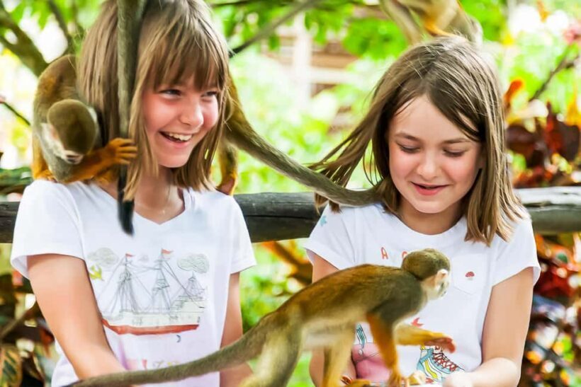 Punta Cana: Monkey Land Half-Day Safari and Plantation - A Deep Dive into the Experience