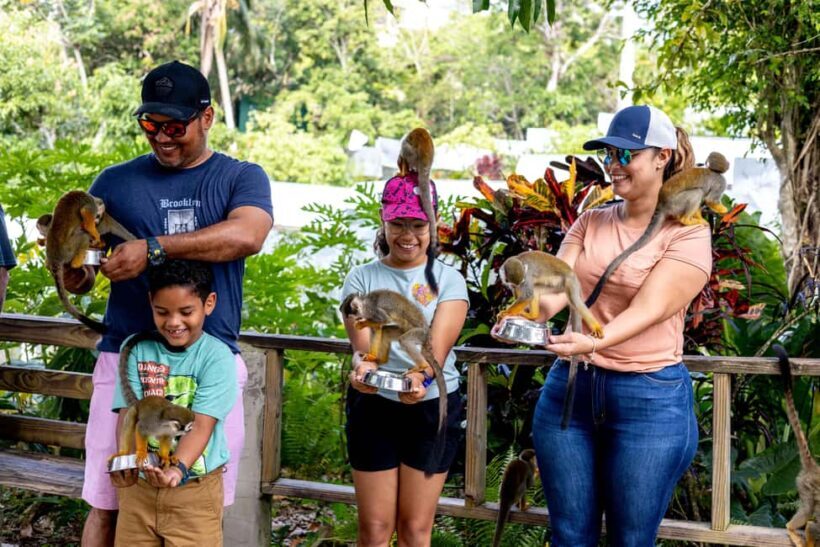 Punta Cana: Monkey Land Half-Day Safari and Plantation - Final Thoughts
