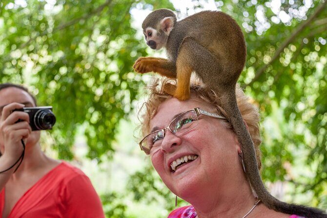 Punta Cana Monkeyland and Zipline Two Adventures in One Day - An In-depth Look at the Experience