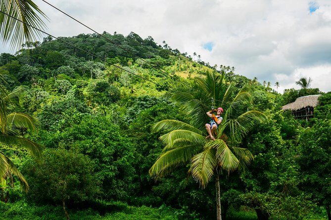 Punta Cana Monkeyland and Zipline Two Adventures in One Day - Final Thoughts