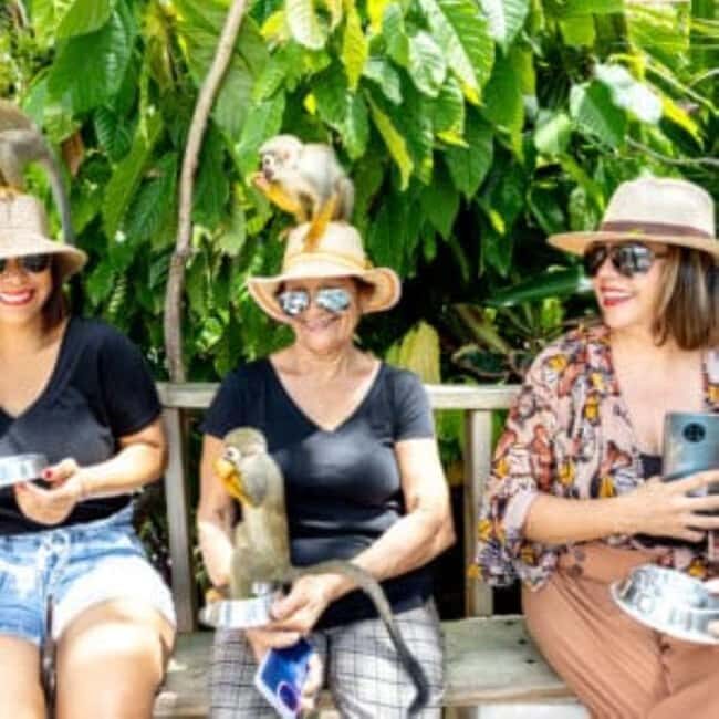 Punta Cana: Monkeyland Half-Day Tour with Snacks and Guide - A Genuine Look at the Monkeyland Half-Day Tour