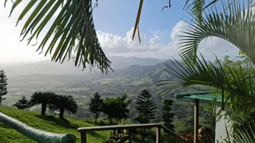 Punta Cana: Montaña Redonda Tour with Lunch & 4x4 Ride - What the Reviews Say