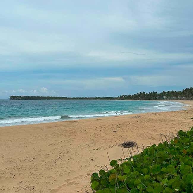 Punta Cana Montaña Redonda:Emerald Beach, Lunch, Small Group Private - Key Points