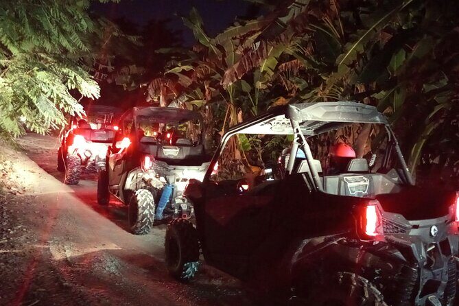 Punta Cana Night Tour Polaris Ride Dinner Music and Open Bar - FAQ
