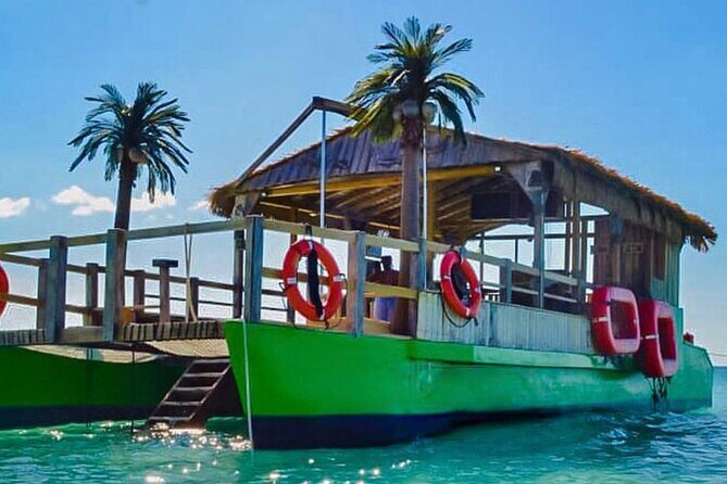 Punta Cana Noahs Ark Party Boat with Open Bar DJ - Key Points