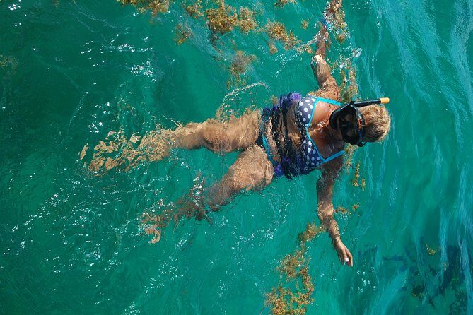 Punta Cana Party Boat:open bar - Who Should Consider This Tour?