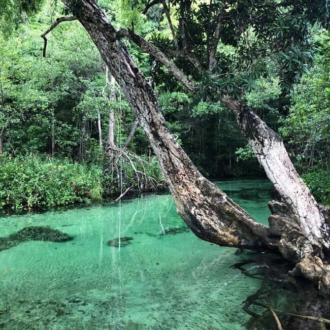 Punta Cana: Playa Rincon, Samana, & Cayo Levantado Day Trip - A Closer Look at the Itinerary