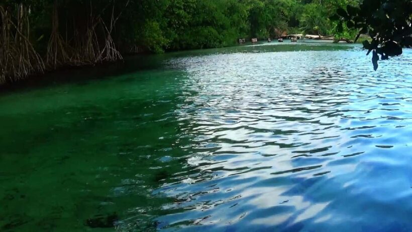 Punta Cana: Playa Rincon, Samana, & Cayo Levantado Day Trip - The Sum Up