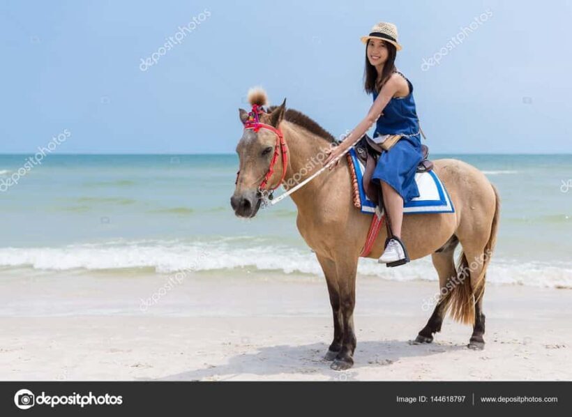 Punta Cana: Private Buggy, Horseback, Zipline & Catamaran - An In-Depth Look at the Tour